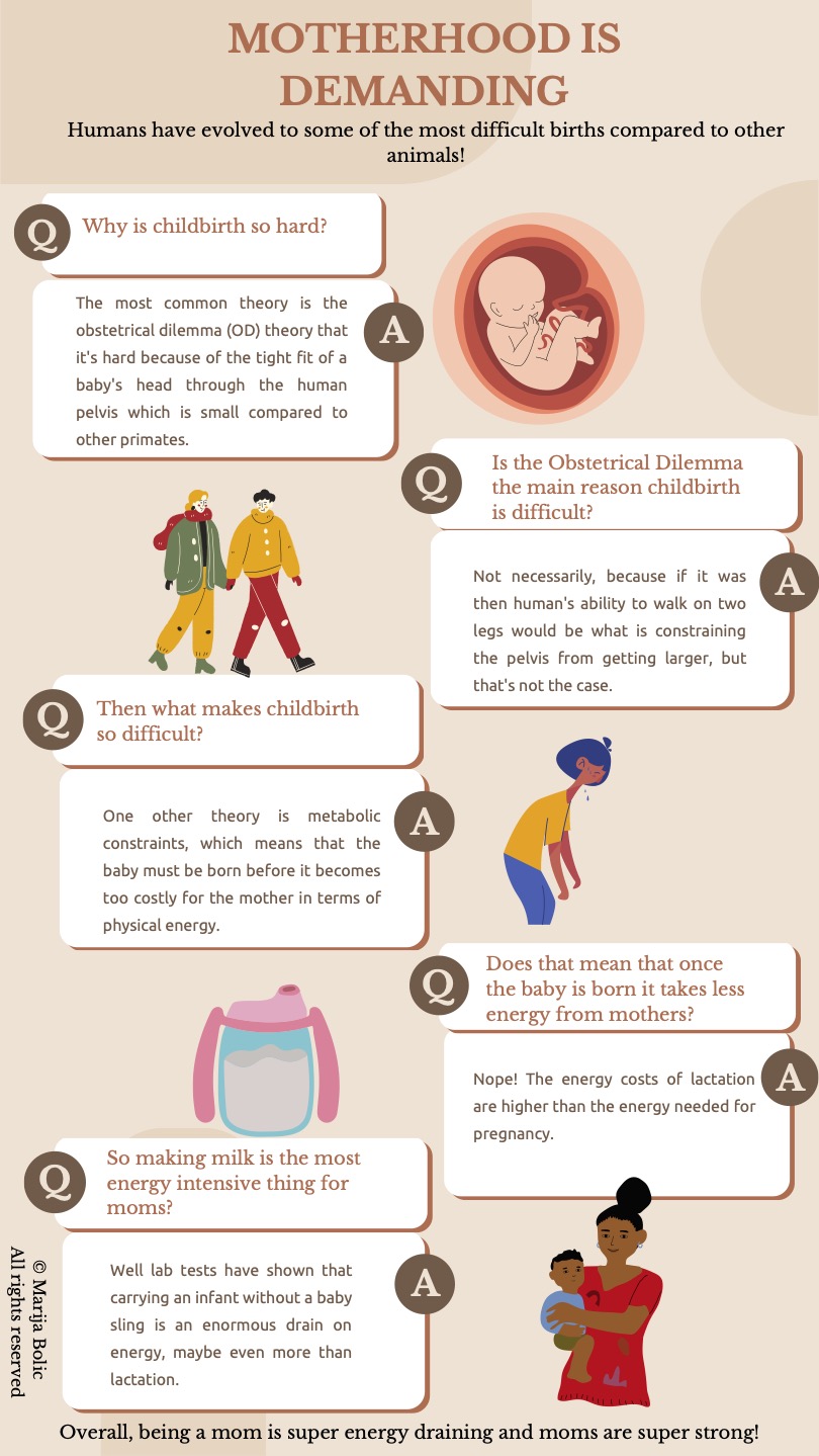 Human Helplessness – Dr. Stuart Hammond – Developmental Psychology ...